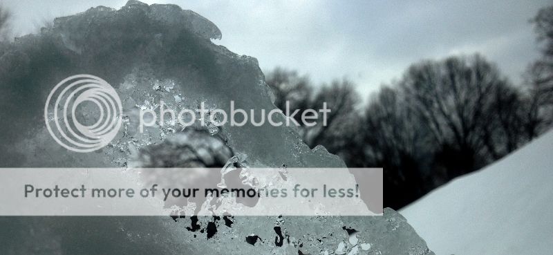 The Apparent “Snowpocalypse” (12-14 Feb) – Diverse Shades of Green