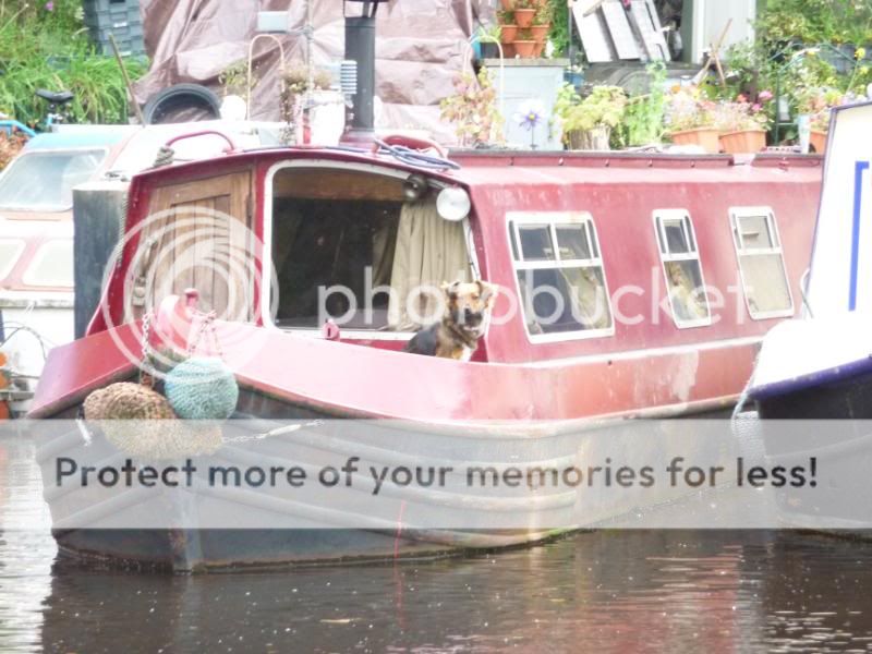 T/R. A walk along Langfield Edge to Stoodley Pike.