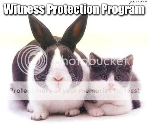 The English Word of the Day: Witness | SpanishDictionary.com Answers