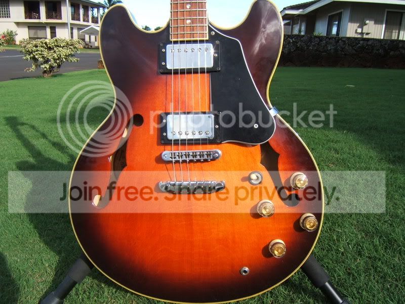 Greco Dry-z Pups? | Tokai & Japanese Guitar Forum