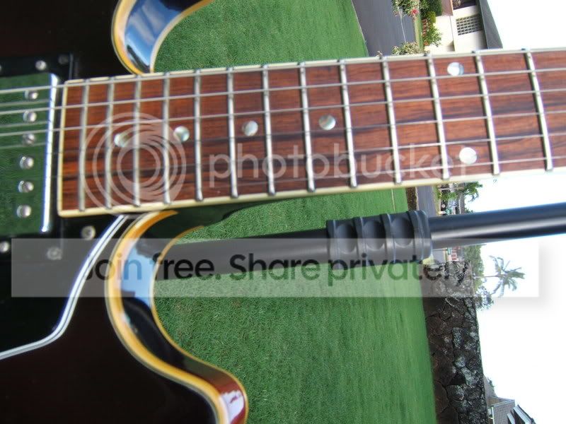 Greco Dry-z Pups? | Tokai & Japanese Guitar Forum