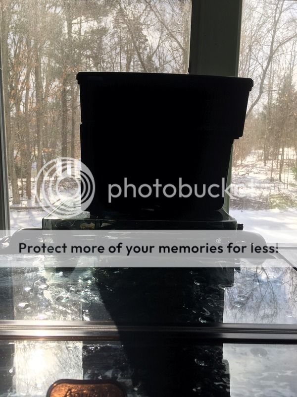 Seachem Tidal 110 filter | AquariaCentral.com